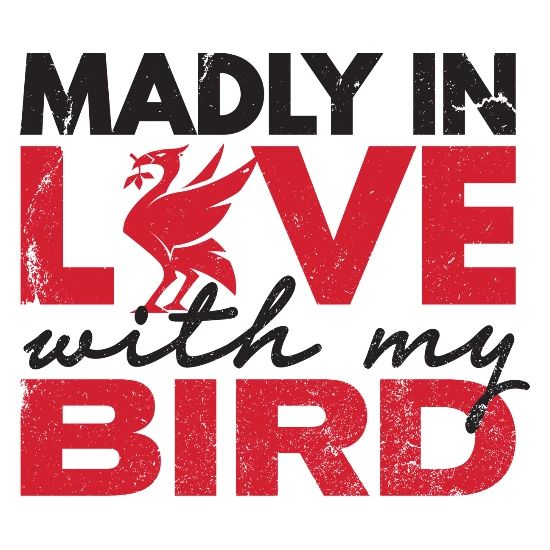 Liverbird Svg Page 2 | Liver Bird Svg Vectors & Illustrations For Free