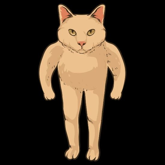 Meme Cartún Cat Saill