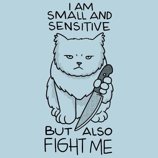 Funniest Grumpy Cat Quotes