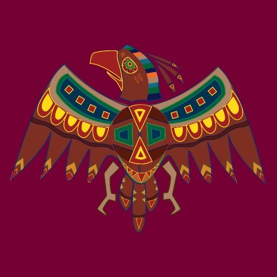 The falcon native american zodiac 60 photos - Astrologytoyou.com