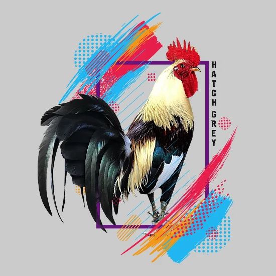 Hatch Grey Gamefowl Home | Feather Cut Gamefowl