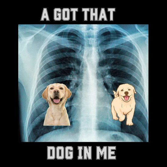 Dog In Hoodie Meme