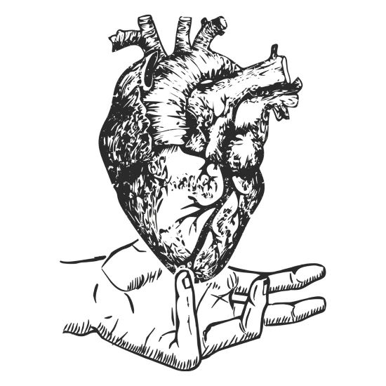 Hand Holding Human Heart Drawing