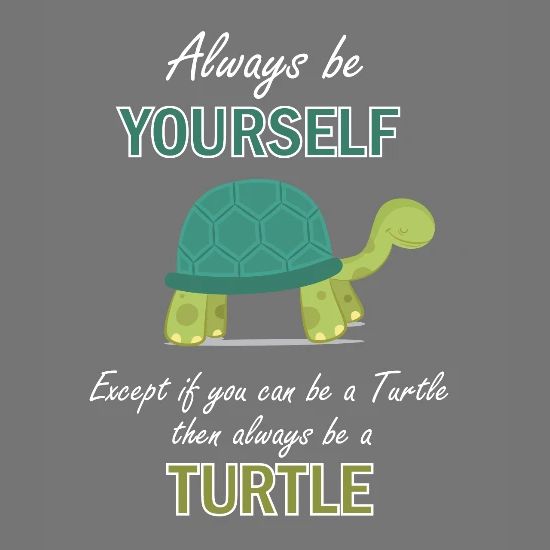 Funny Turtle Pictures With Quotes