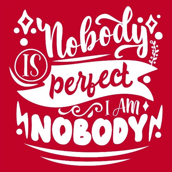 Nobody Stupid Quotes Nobody Is Perfect | Funny Quotes | Sarcastic