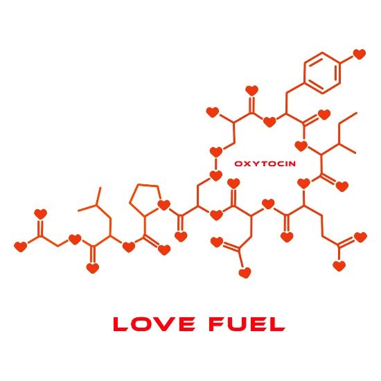 Chemical Structure Of Love