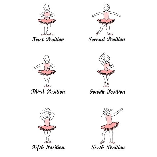 Ballet Positions 1 5