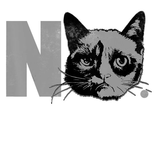 No Grumpy Cat Amazon.com: Grumpy Cat Rock Figurine NO : Home & Kitchen