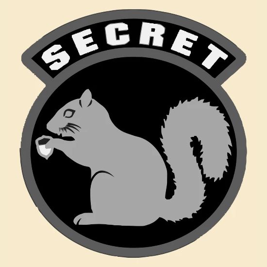 Military Squirrel