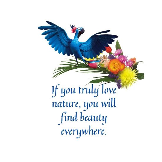 Rio Bird Quotes Category:Quotes | Rio Wiki | Fandom
