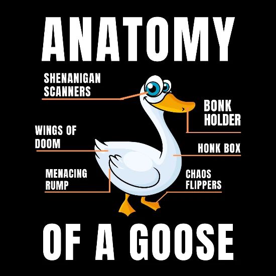Animal Anatomy Memes 45 Funny Animal Memes | Reader's Digest
