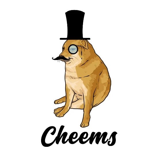Funny Fancy Dog Memes BEST FUNNY DOG MEMES | Tell Me You Did It,