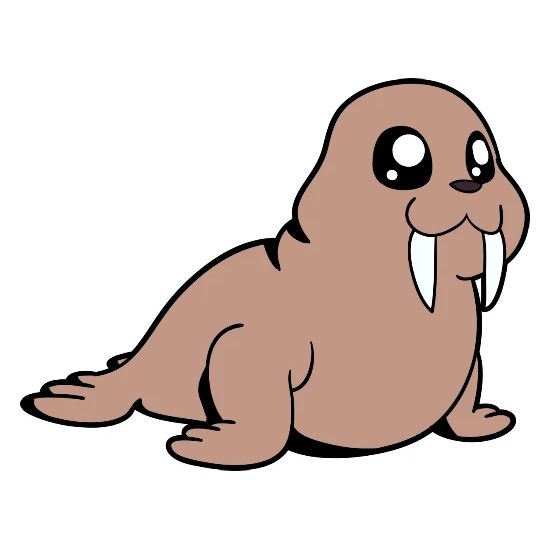 Walrus Bucket The Arctic: The Walrus