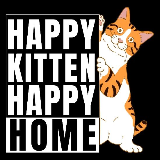 Cute Kitten Pictures With Quotes