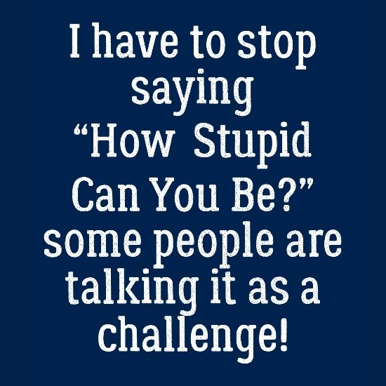 Funny Dumbass Quotes