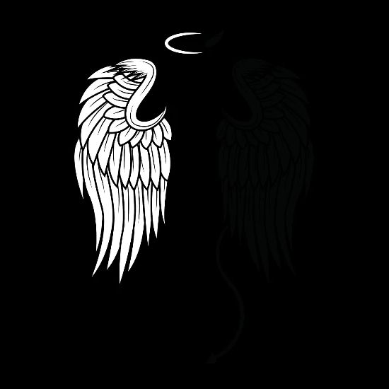Good And Evil Angel Wings