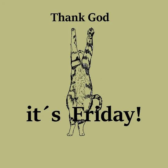 Its Friday Quotes Cat