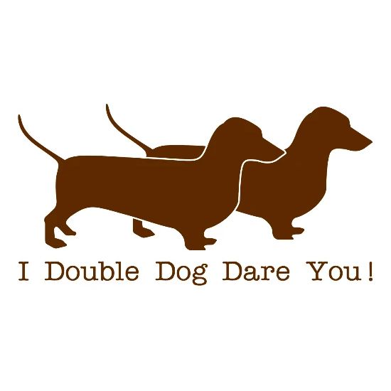 I Double Dog Dare You Double Dog Dare Album By The Bellamy Brothers