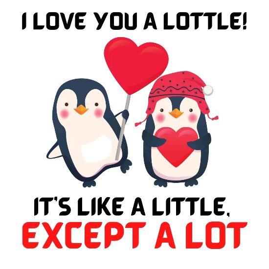 I Like You A Lottle I Like You A Lottle Penguin Love Couples Gift'