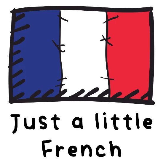 French Flag Memes A Funny Thing Happened In French Today