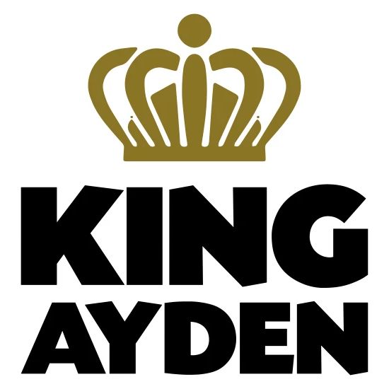 Ayden Logo Newsroom Adyen
