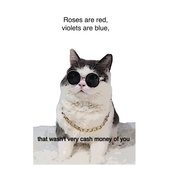 Cash Money Baby Memes Fun Abraham Lincoln Cash Money Baby Five Dollar