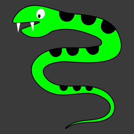 Slippery Snake Memes Snake 🐍 : R/memes