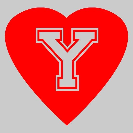 Y Letter Love