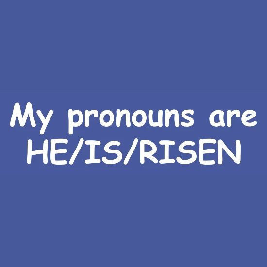 Pronoun Memes