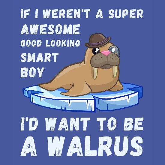Funny Walrus Quotes Apparently This Matters: I (was) The Walrus | CNN