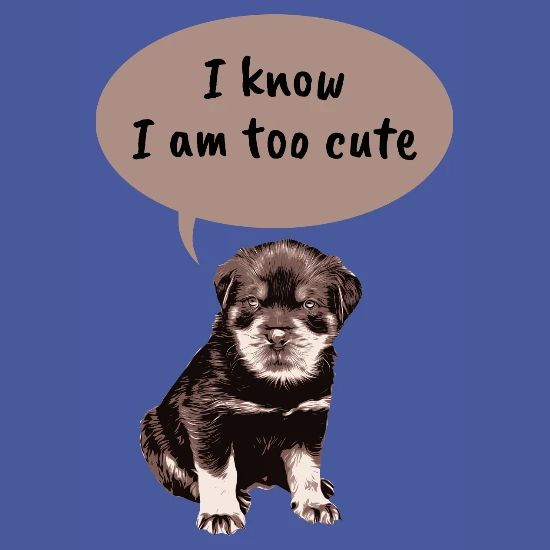 Too Funny Dog