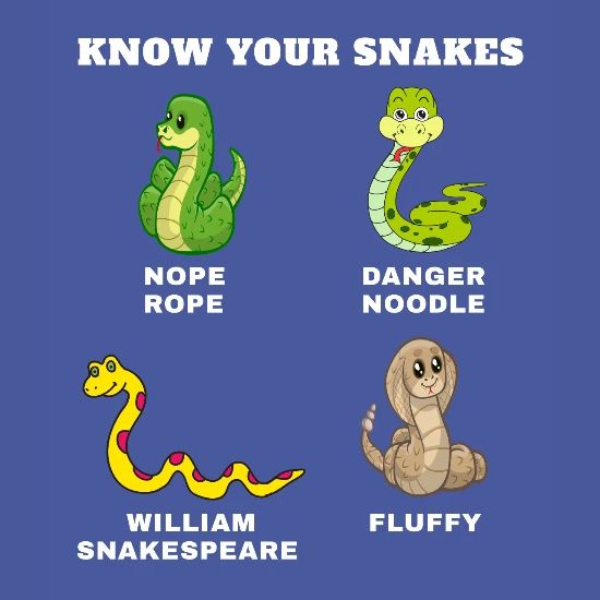 Nope Snakes