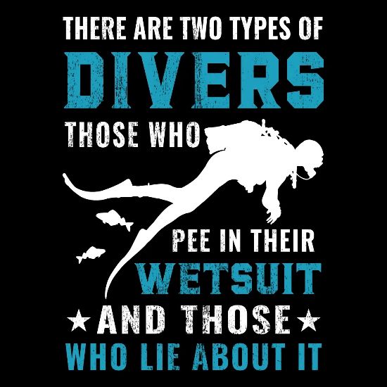 Funny Diving Quotes The 56 BEST Scuba Diving Quotes For Ocean Lovers