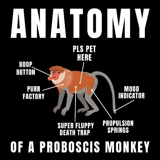 Animal Anatomy Memes 45 Funny Animal Memes | Reader's Digest