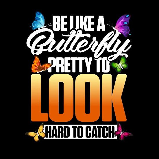 Love Butterfly Memes