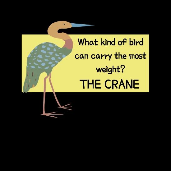 Jokes About Cranes Funny Crane Operator Hourly Rate Vector T Shirt