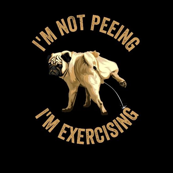 Funny Animal Workout