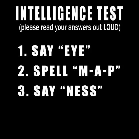Intelligence Test Answers