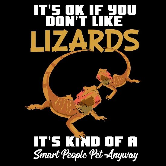Smart Lizard Memes Beer Bellied Lizard Back To High School Weight