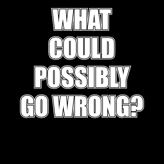 What Could Go Wrong