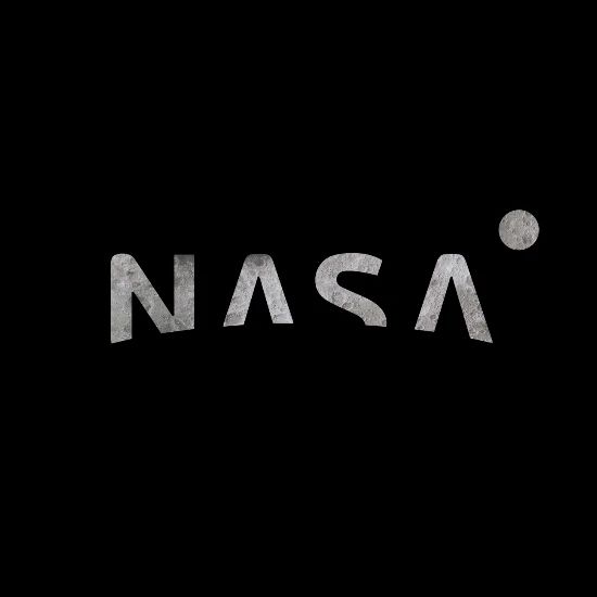Nasa Insignia True