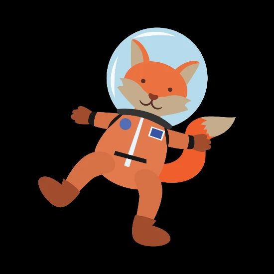 Fox Space Suit