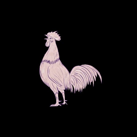 Rooster Crowing Drawing