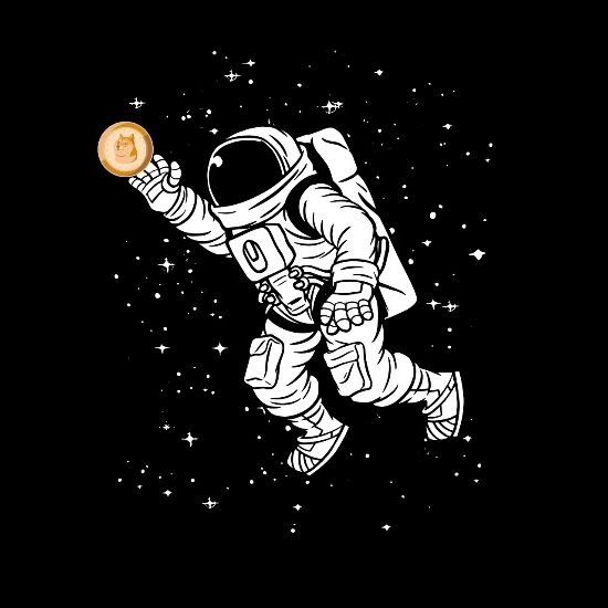 Astronaute Doge