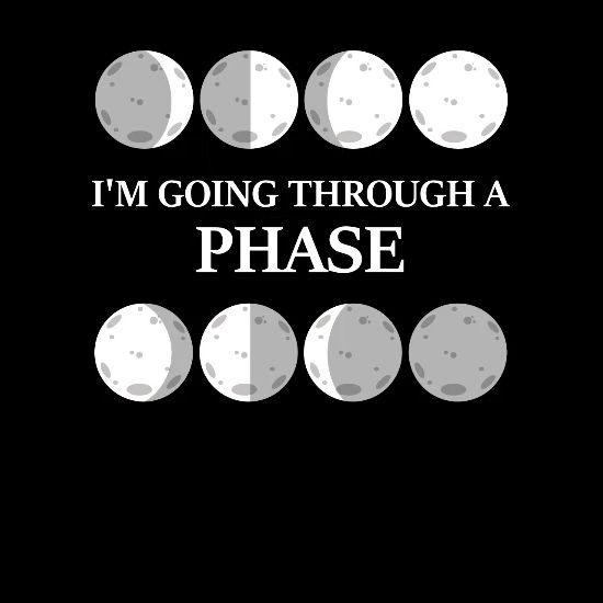 Funny Moon Phases Funny Moon Phases Graphic Tee For Lunar Lovers