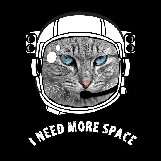 Nasa Nerd