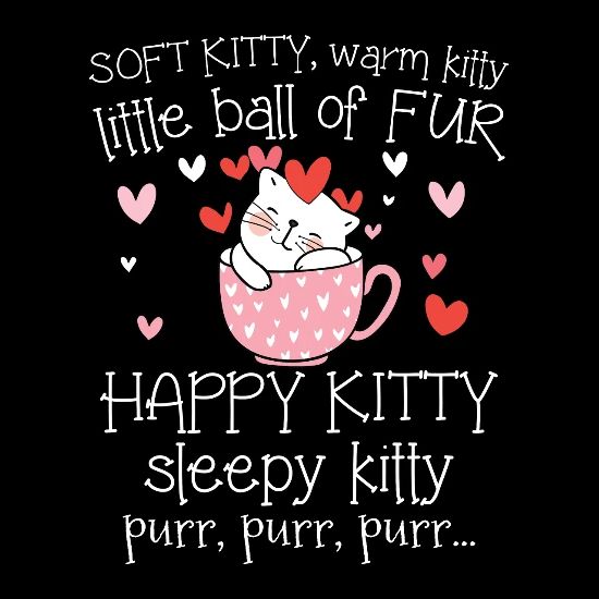 Soft Kitty Warm Kitty