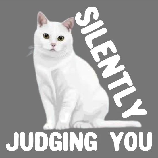 Judging You Cat BBC Radio 4 Seriously... Do Our Cats Judge Us?
