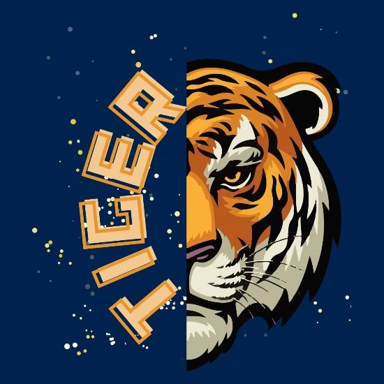 Cool Tiger Designs
