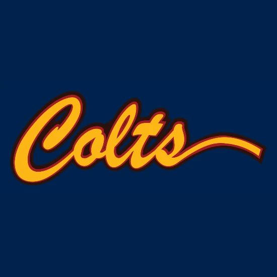 Vintage Colts Logo Counted Cross Stitch Pattern, Indianapolis Colts